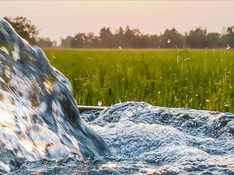 Abu Dhabi aims to reduce groundwater extraction by up to 650 million ...